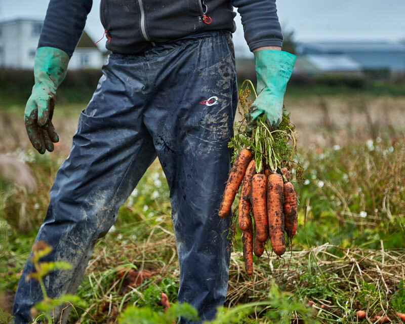 Home - Millbank Farm
