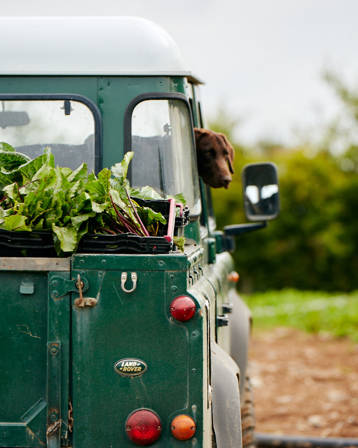 Home - Millbank Farm