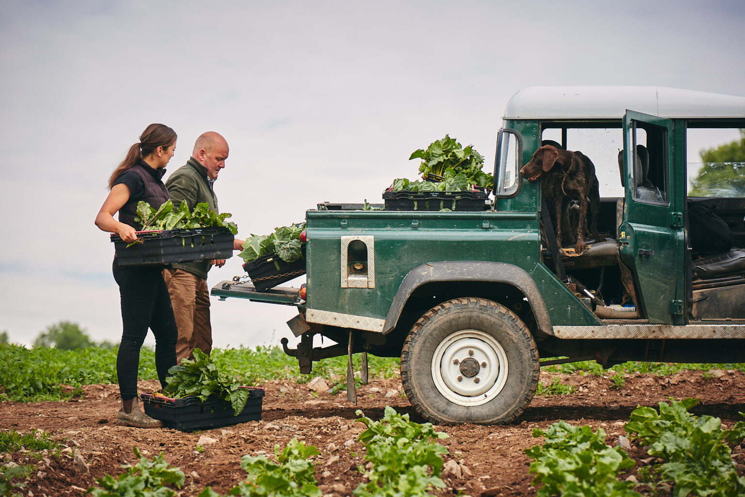 Home - Millbank Farm