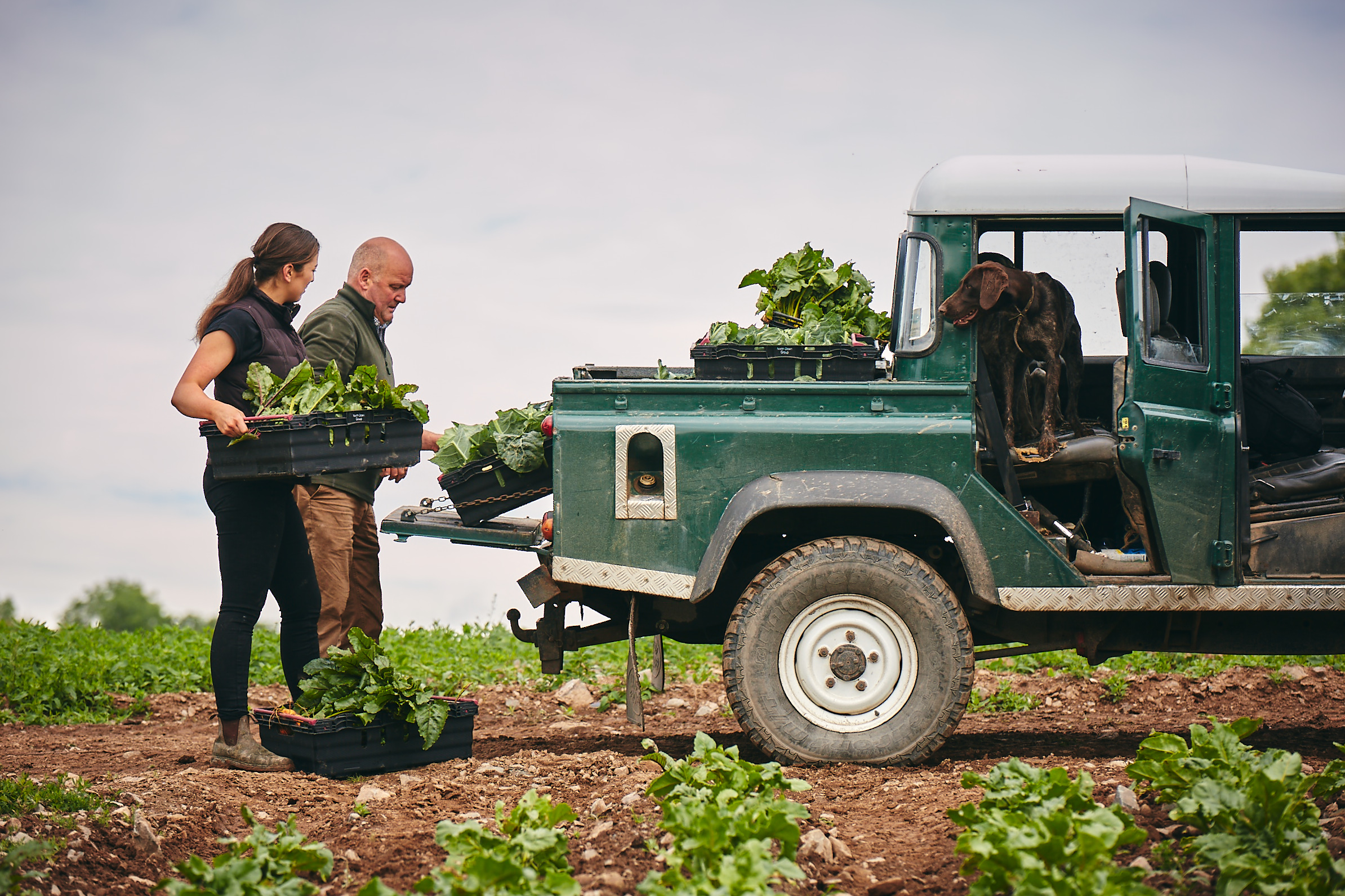 Home - Millbank Farm