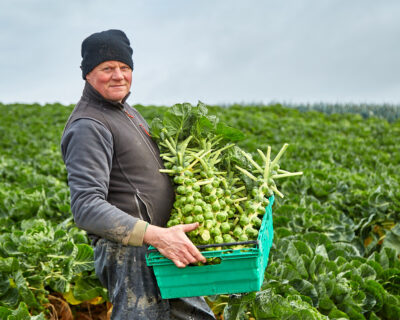 Home - Millbank Farm