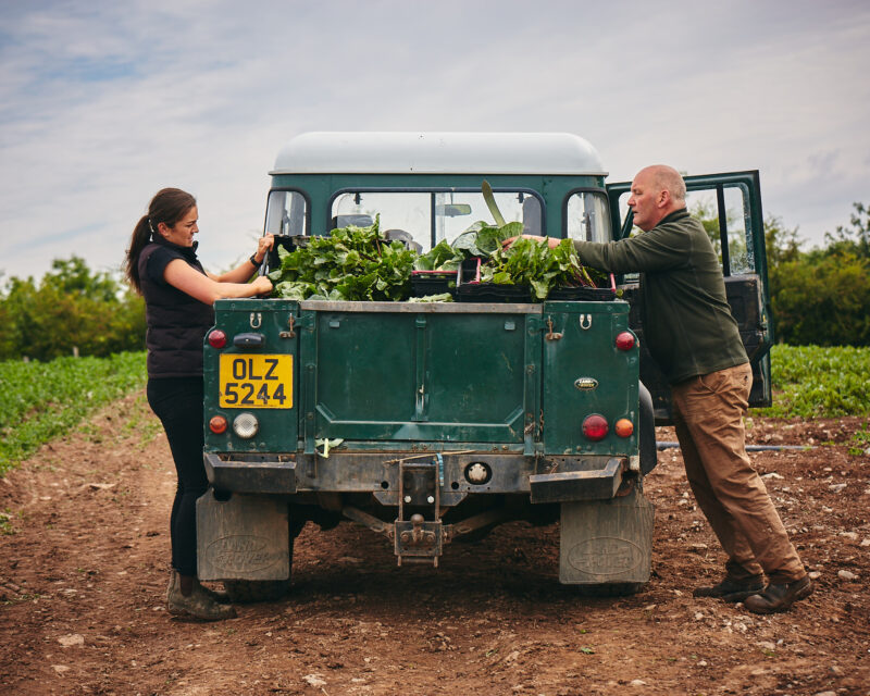 Home - Millbank Farm